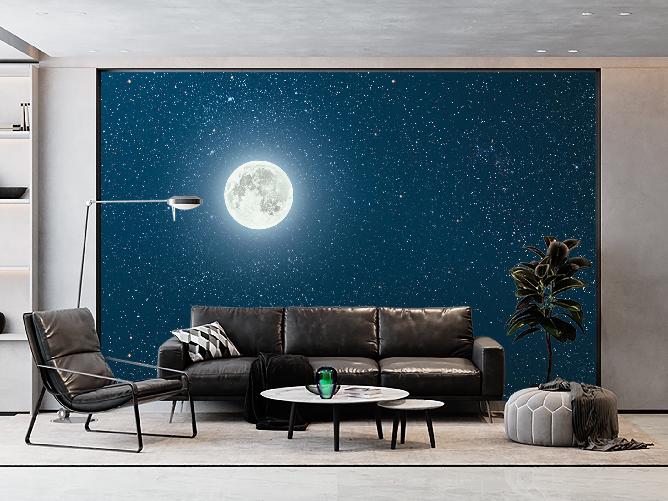 Moon Night Sky Wallpaper & Wall Art Mural Night Sky Full Moon - Etsy