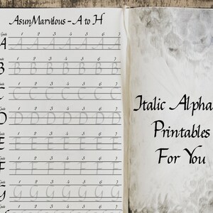 Printable Italic Calligraphy Template Worksheet Italic Calligraphy ...