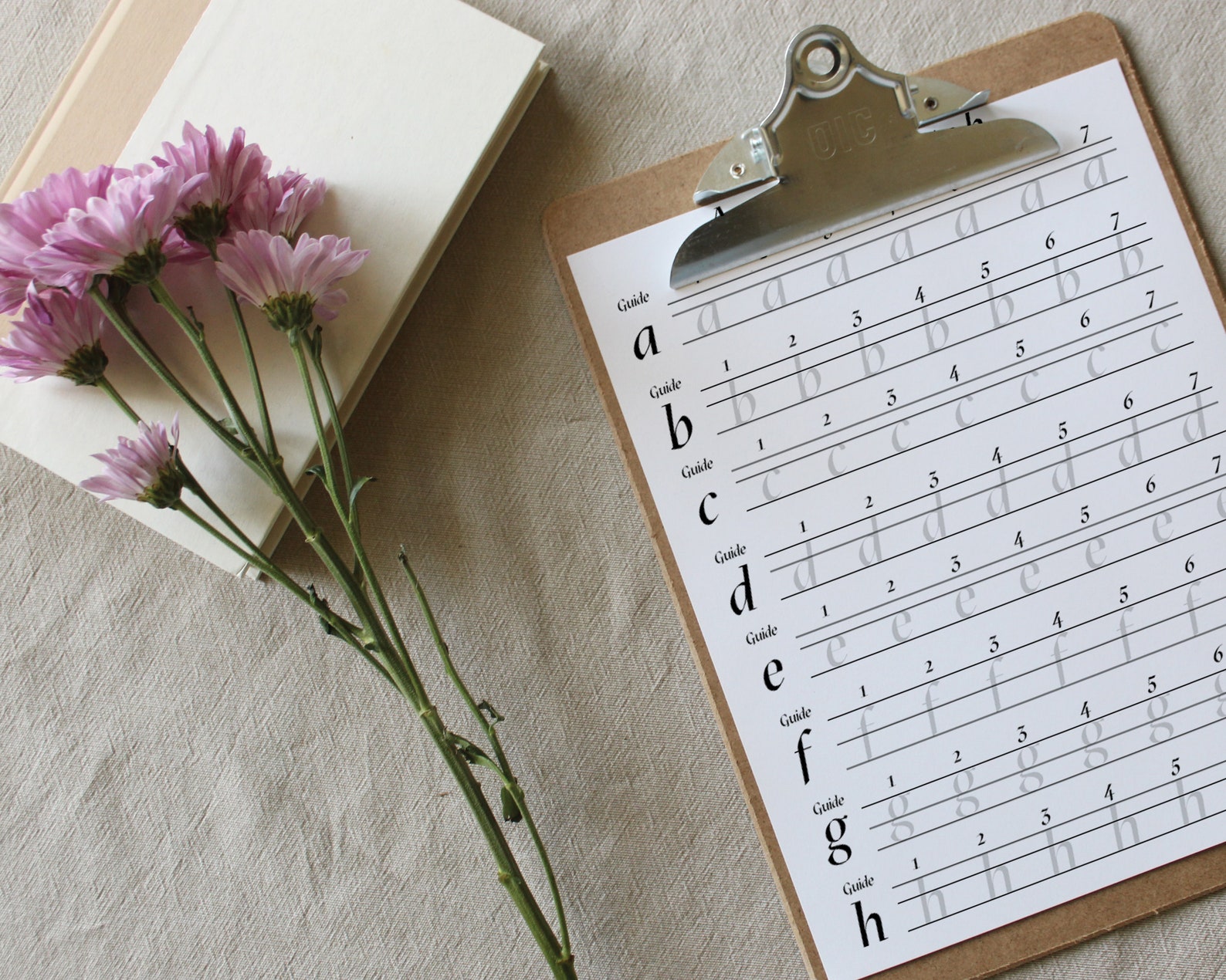 Italic Calligraphy Printable for Adult Italic Alphabet Penmanship at ...