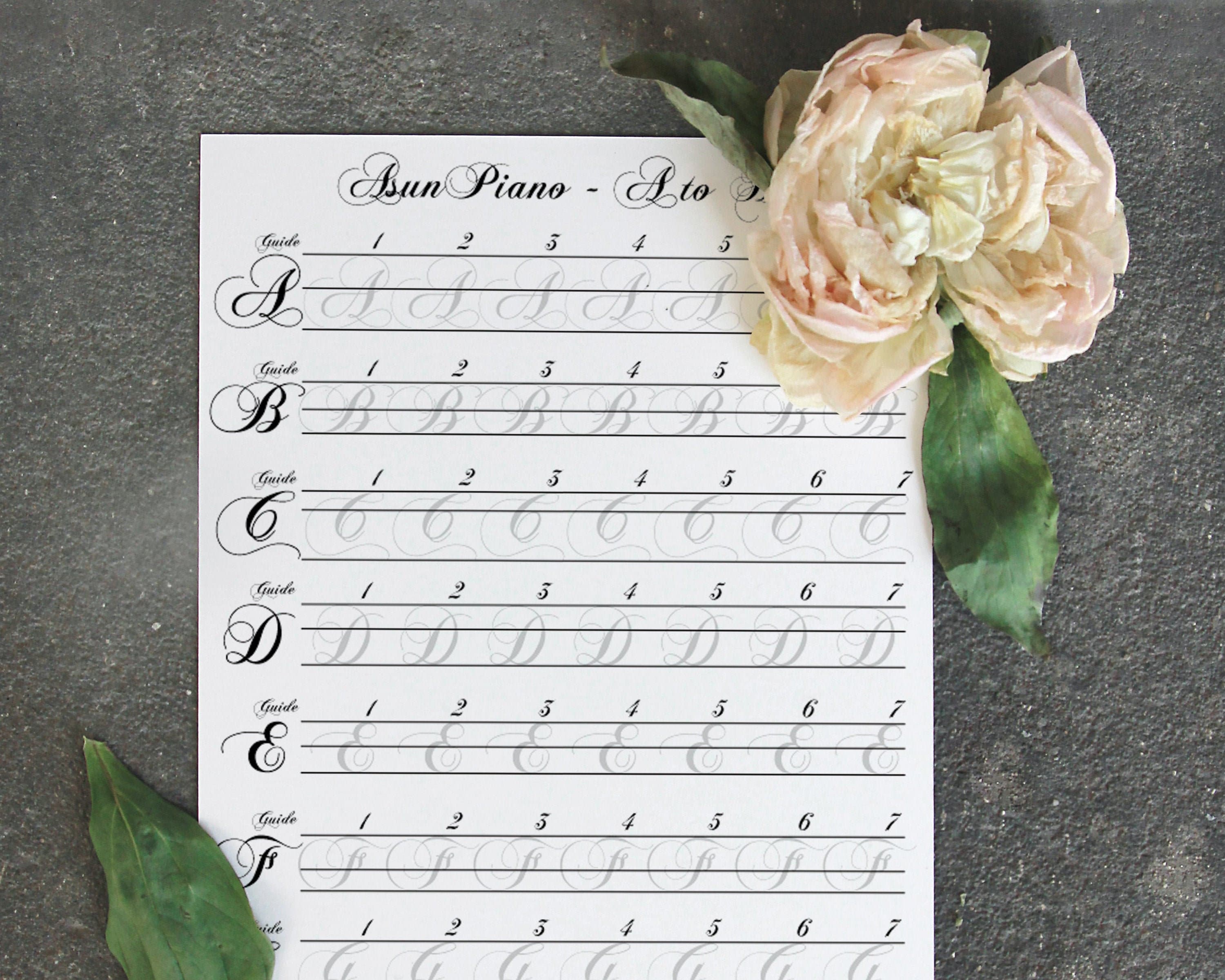 Fancy Copperplate Script Worksheet for Adult | Copperplate Calligraphy ...