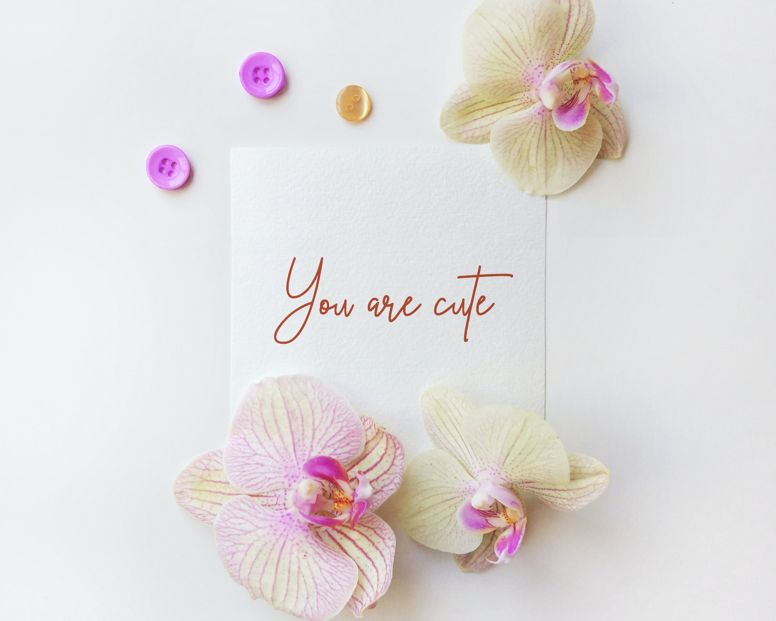 Cute Autograph Practice Sheet for Girls, Printable Signature Worksheet ...