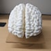 Personalized 3D Printed Brain: Unveil Your Mind's Marvels - Etsy
