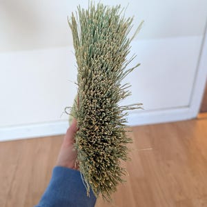 Handmade Amish Toy Broom – Natural Broomcorn Kids Broom, 32" Long - Etsy