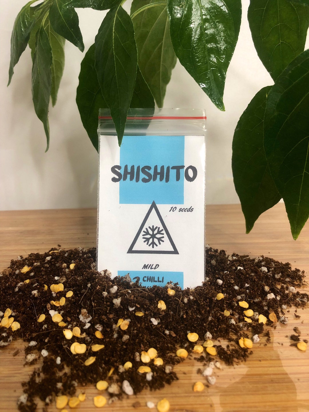 Shishito Chilli/dragon Roll Pepper Seeds - Etsy Australia