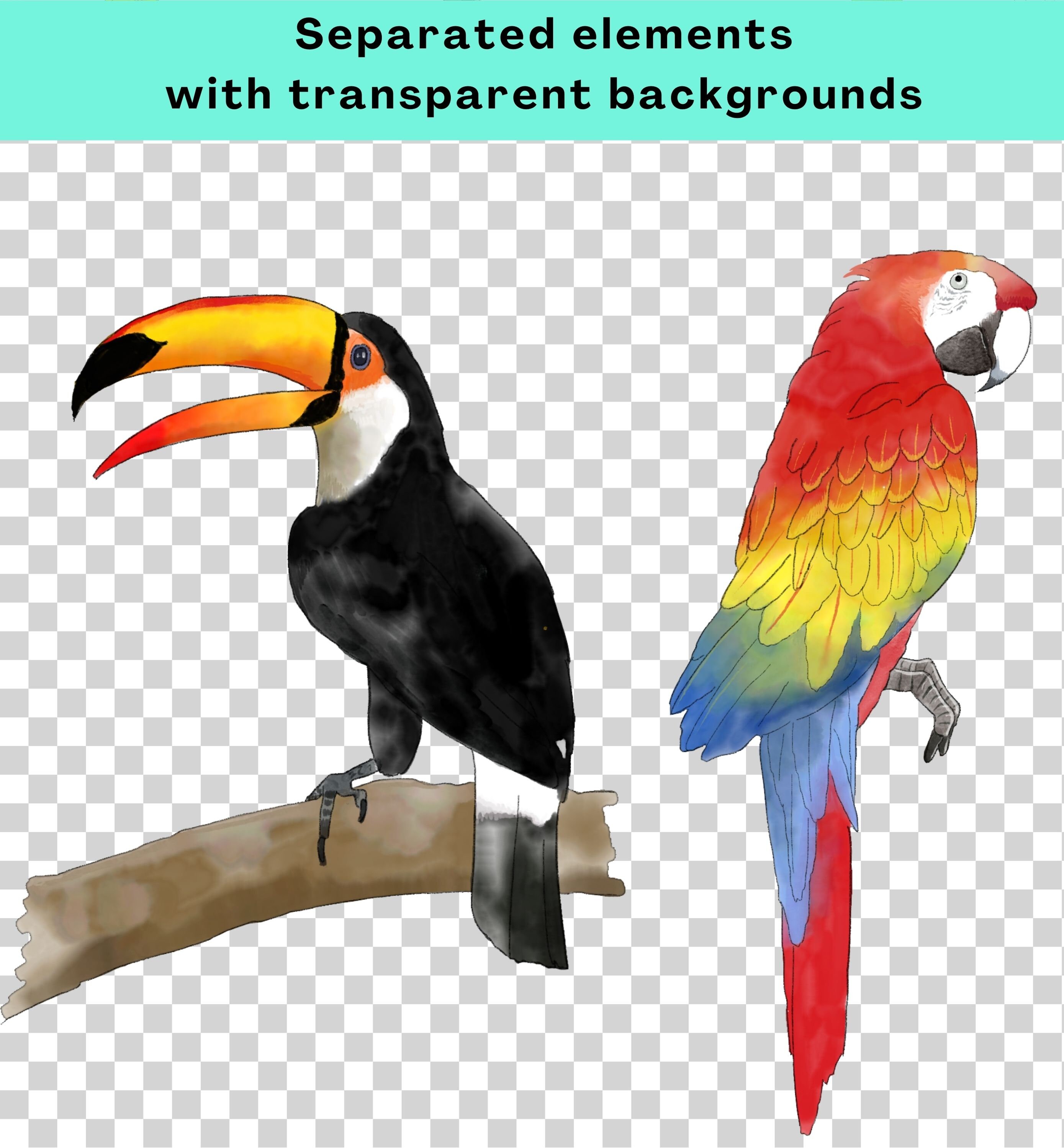 Tropical Birds Clipart, Watercolor Parrot Clipart,watercolor Birds ...