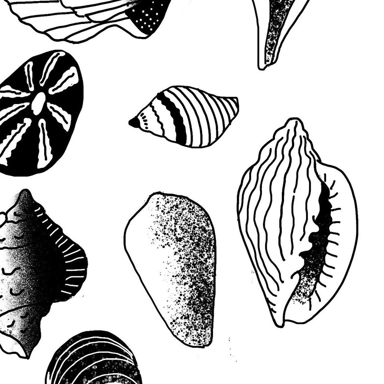 Seashell Clipart svg,seashell Monogram,seashell Cut File,seashell SVG ...