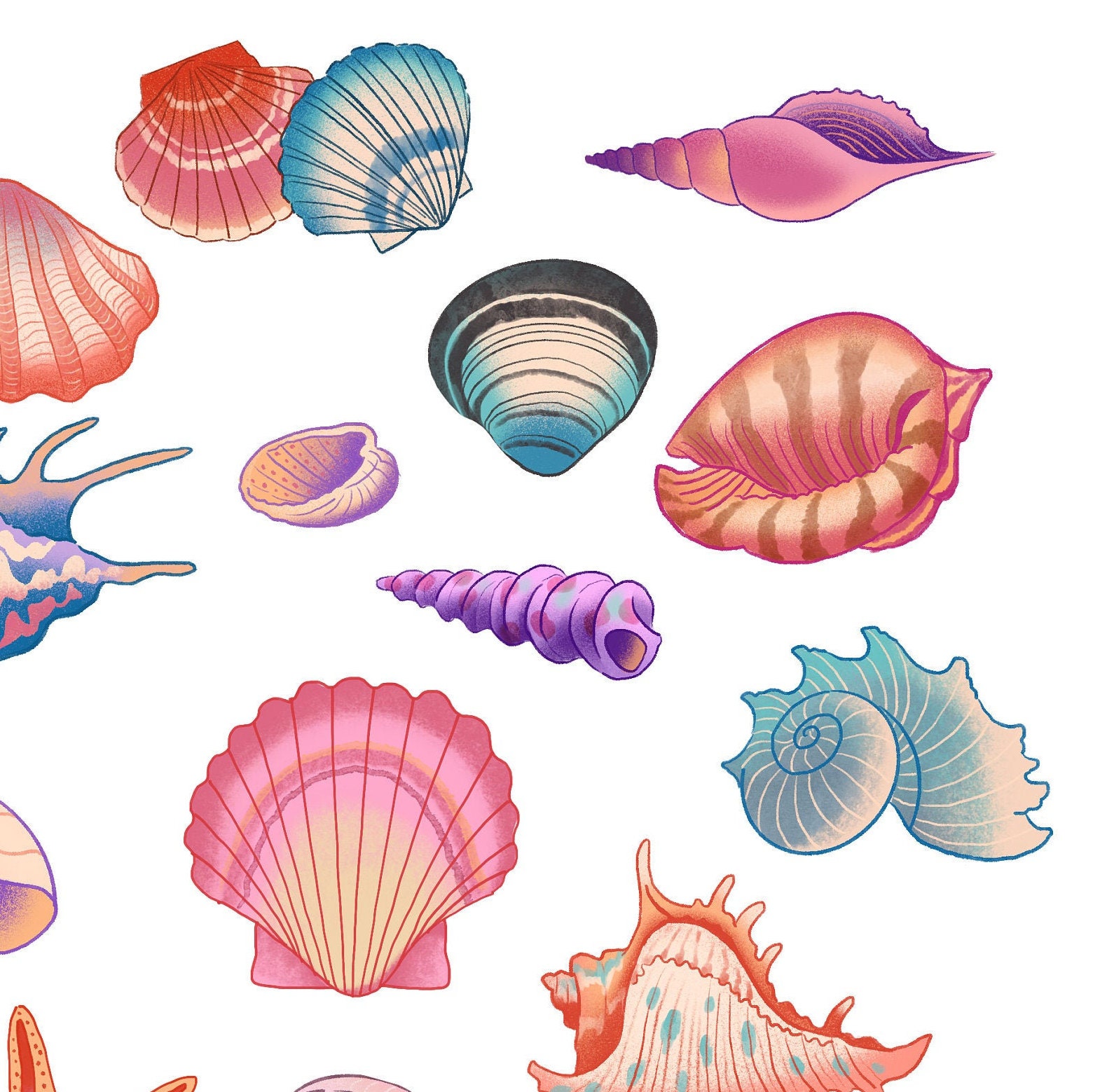 Muscheln PNG ClipArt-Aquarell Muschel,Marine WandKunst Dekor. - Etsy.de