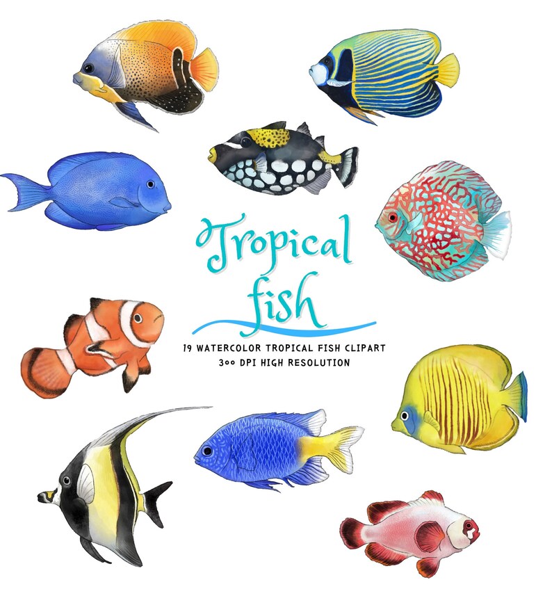 Watercolor Tropical fish PNG ClipArt | Etsy