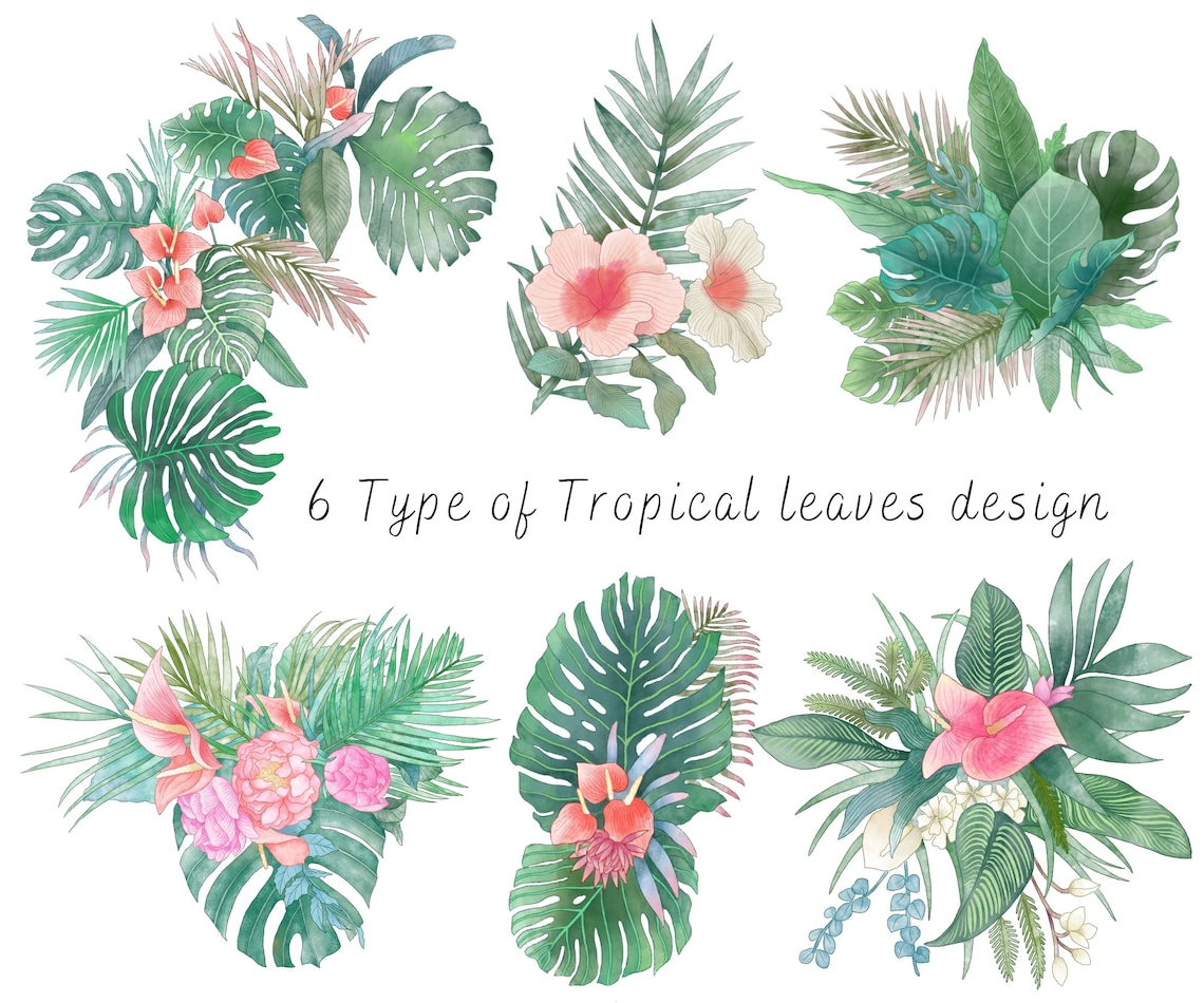 Tropical wood Frame Tropical floral clipart PNG | Etsy