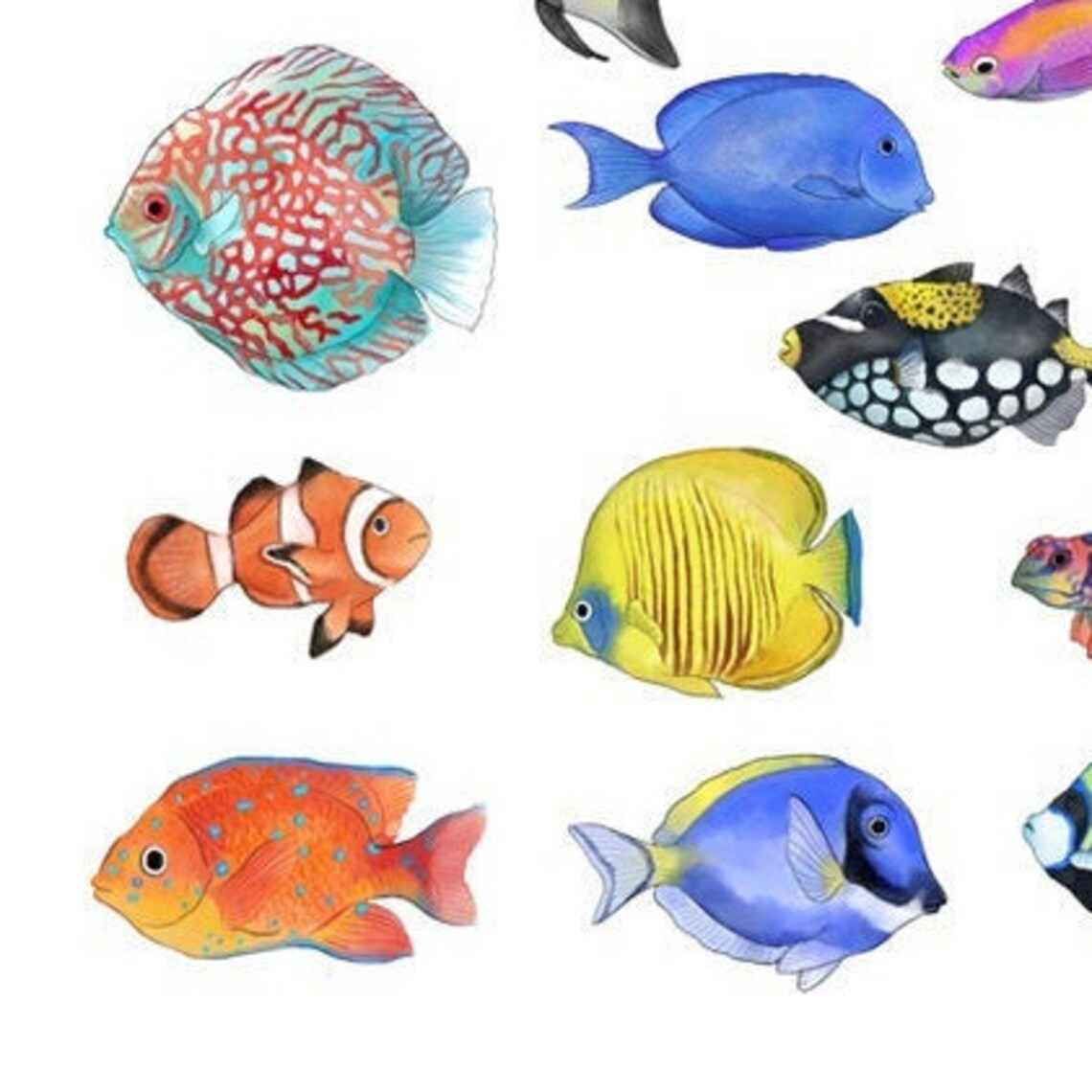 Watercolor Tropical Fish PNG Clipart - Etsy