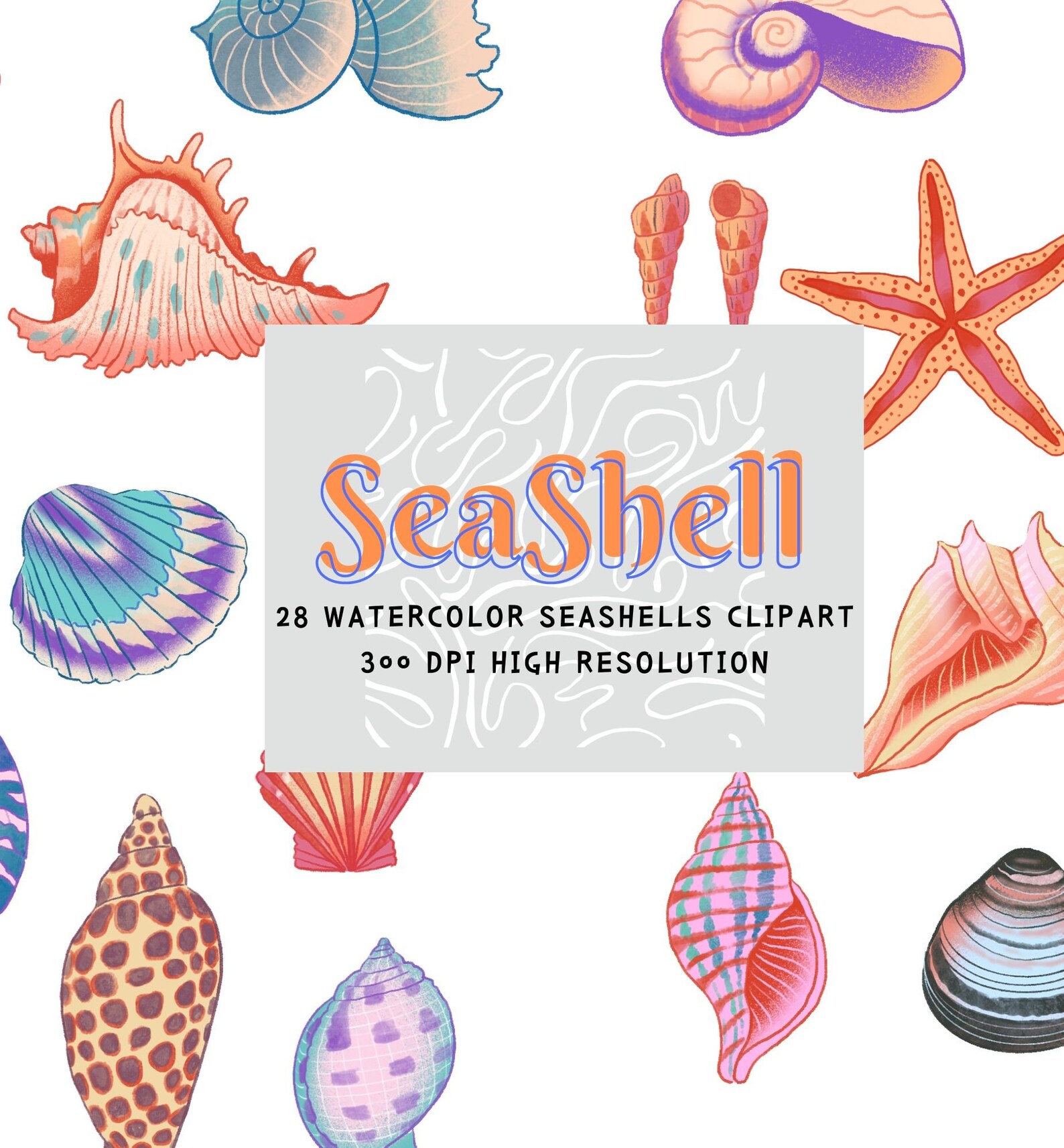 Seashells PNG Clipart-watercolor Seashell,marine Wall Art Decor. - Etsy