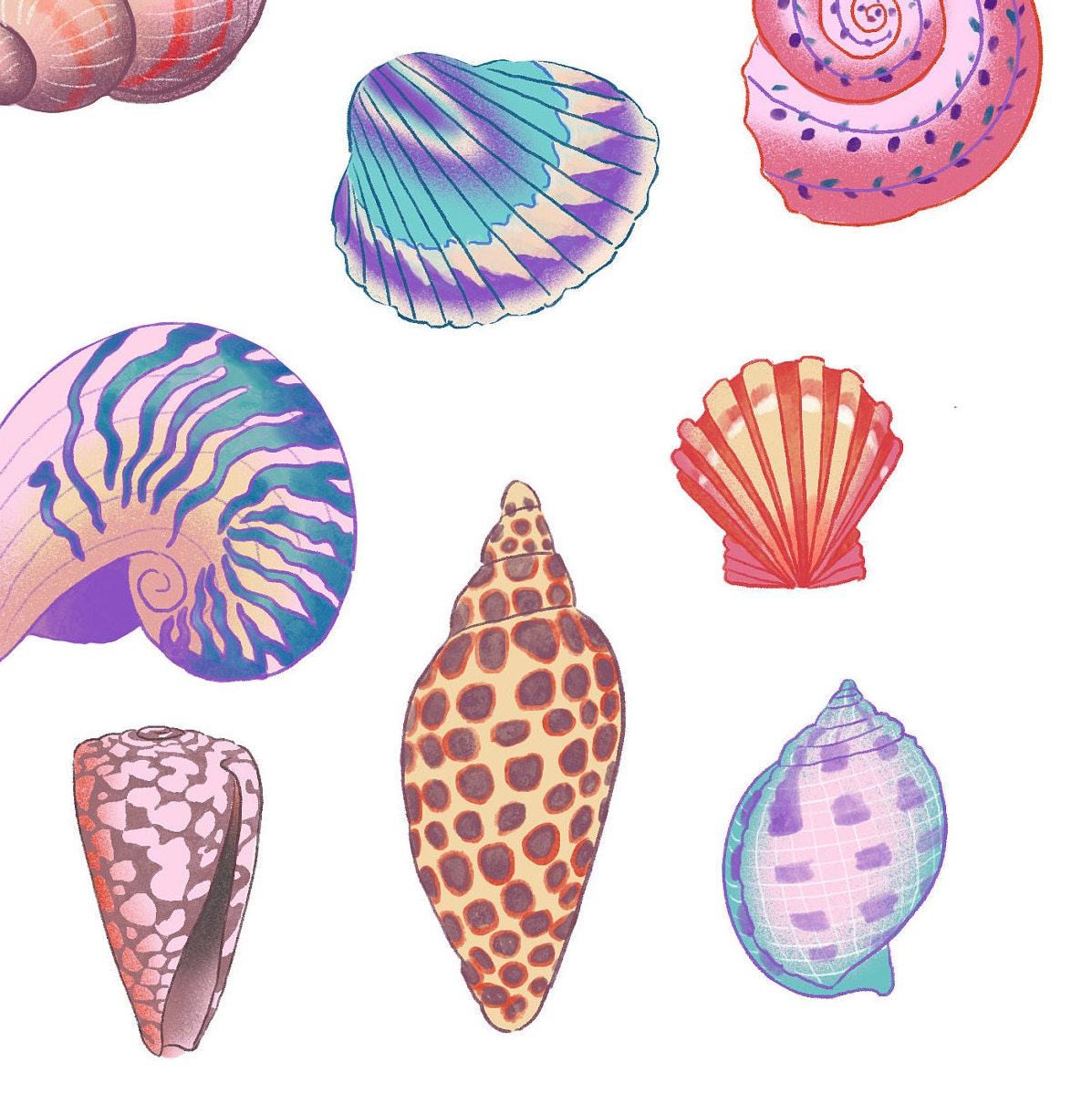 Muscheln PNG ClipArt-Aquarell Muschel,Marine WandKunst Dekor. - Etsy.de