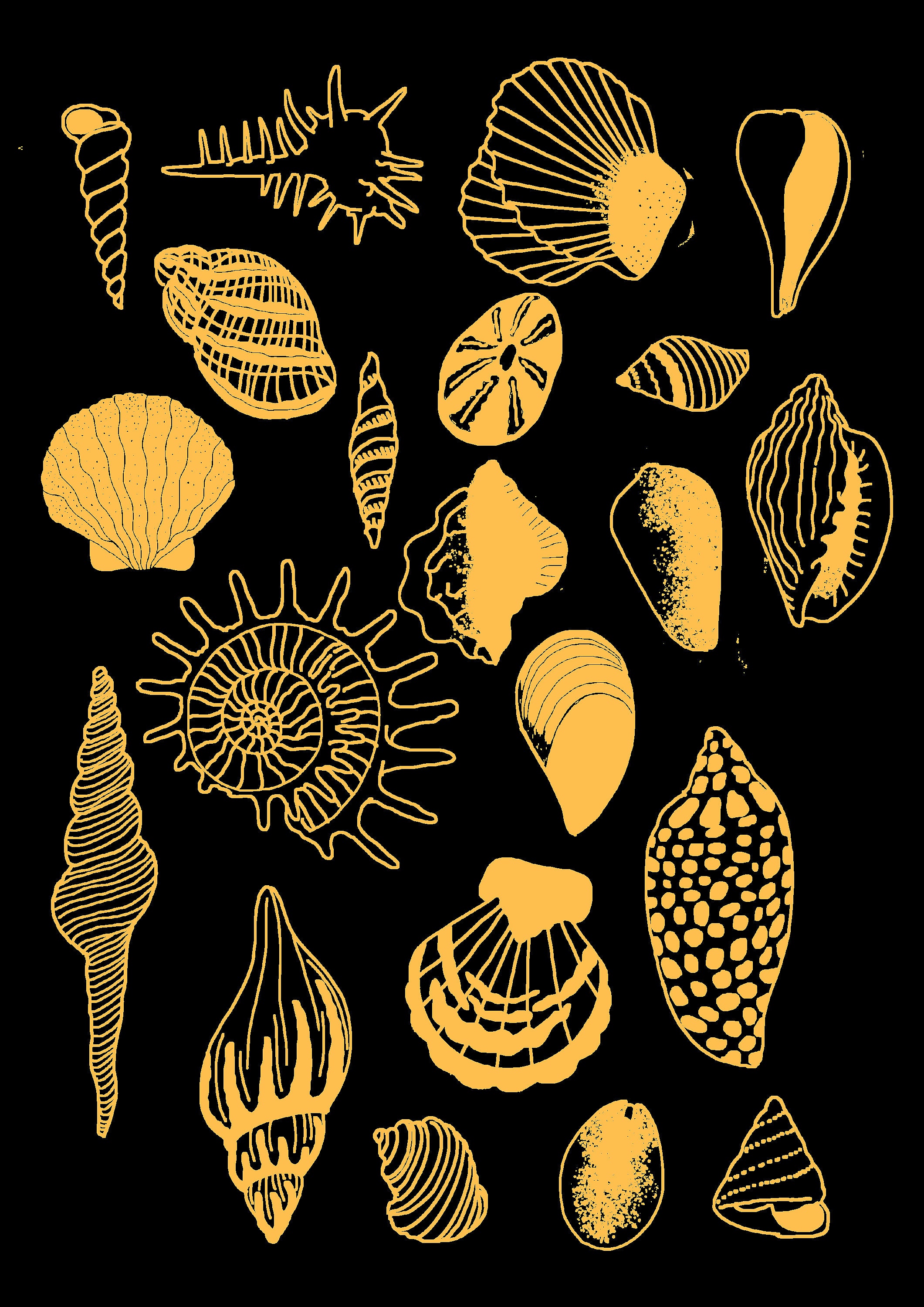 Seashell Clipart svgseashell Monogramseashell Cut | Etsy