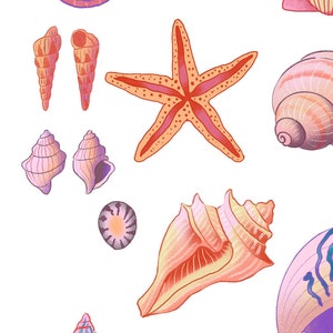 Muscheln PNG ClipArt-Aquarell MuschelMarine WandKunst Dekor. | Etsy
