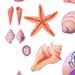 Muscheln PNG ClipArt-Aquarell MuschelMarine WandKunst Dekor. | Etsy