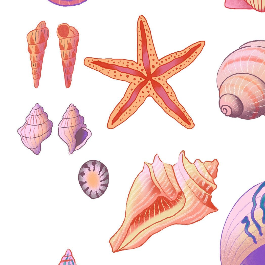 Muscheln PNG ClipArt-Aquarell Muschel,Marine WandKunst Dekor. - Etsy.de