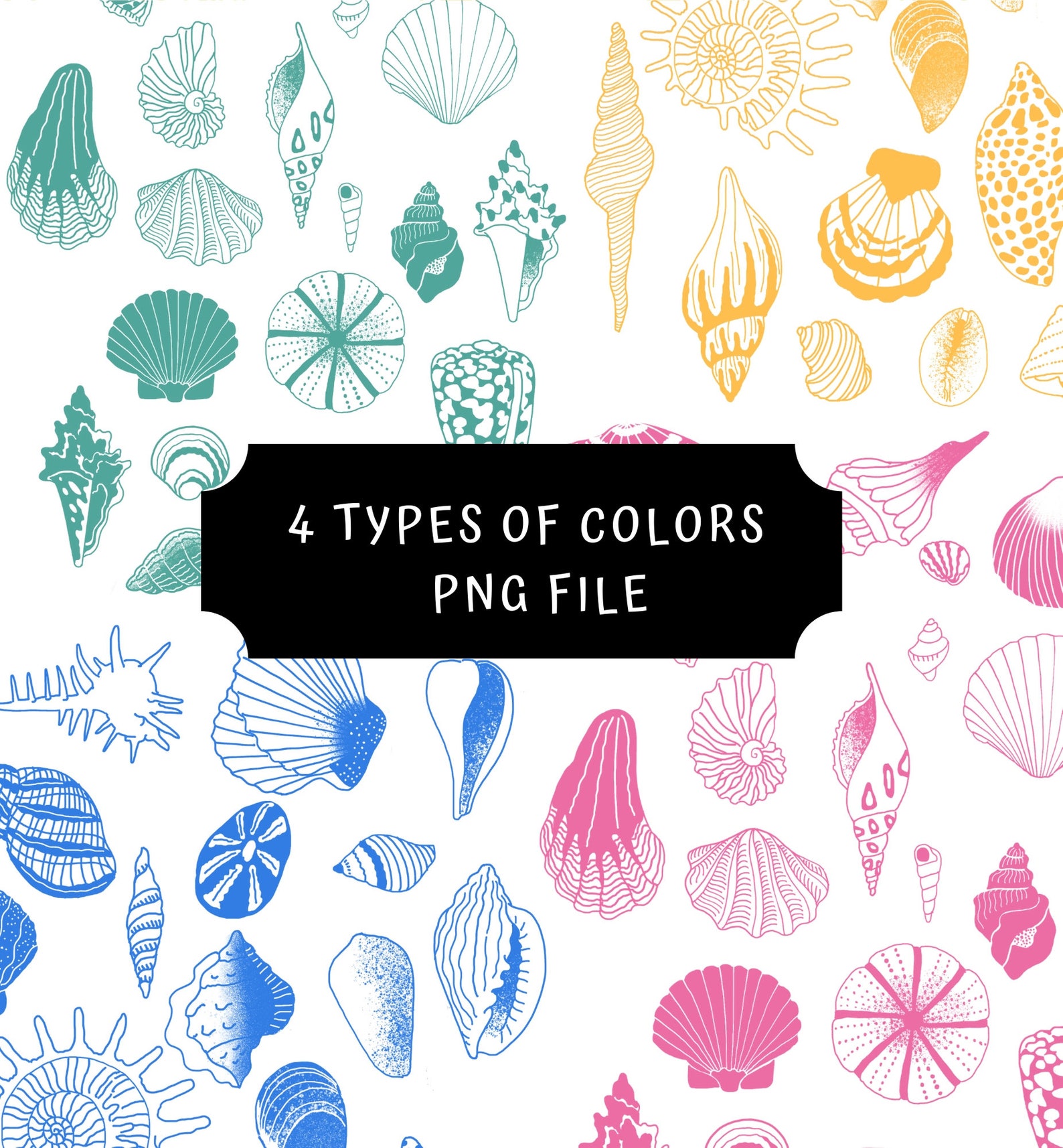 Seashell Clipart svg,seashell Monogram,seashell Cut File,seashell SVG ...