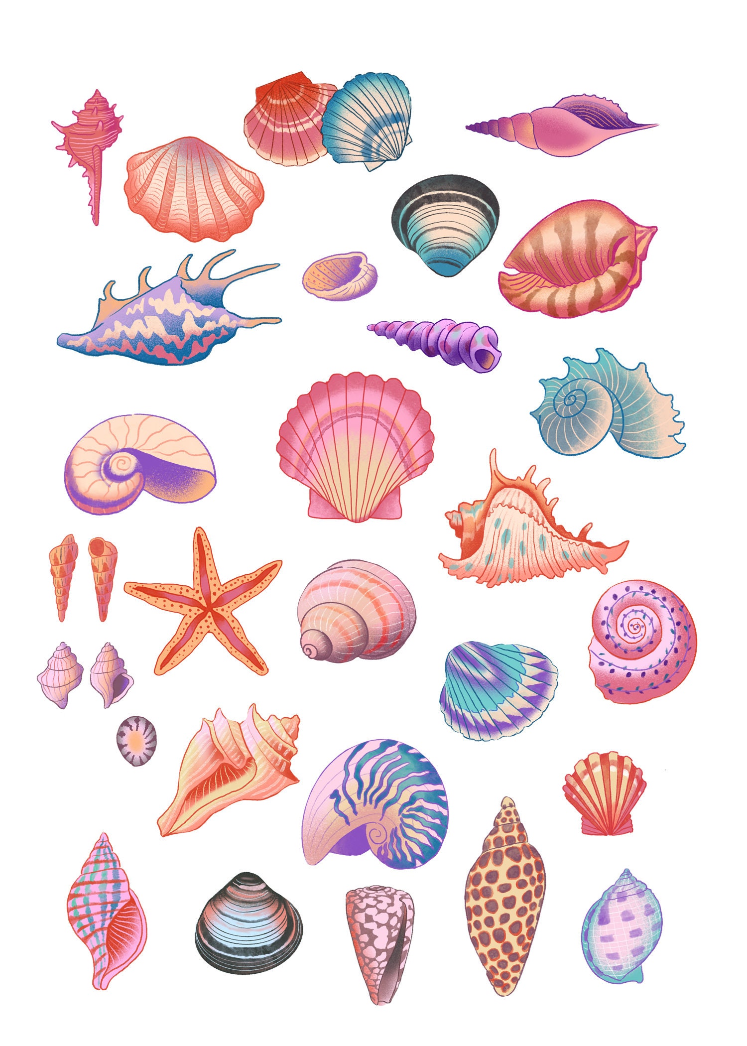 Seashells PNG ClipArt-Watercolor SeashellMarine Wall Art | Etsy