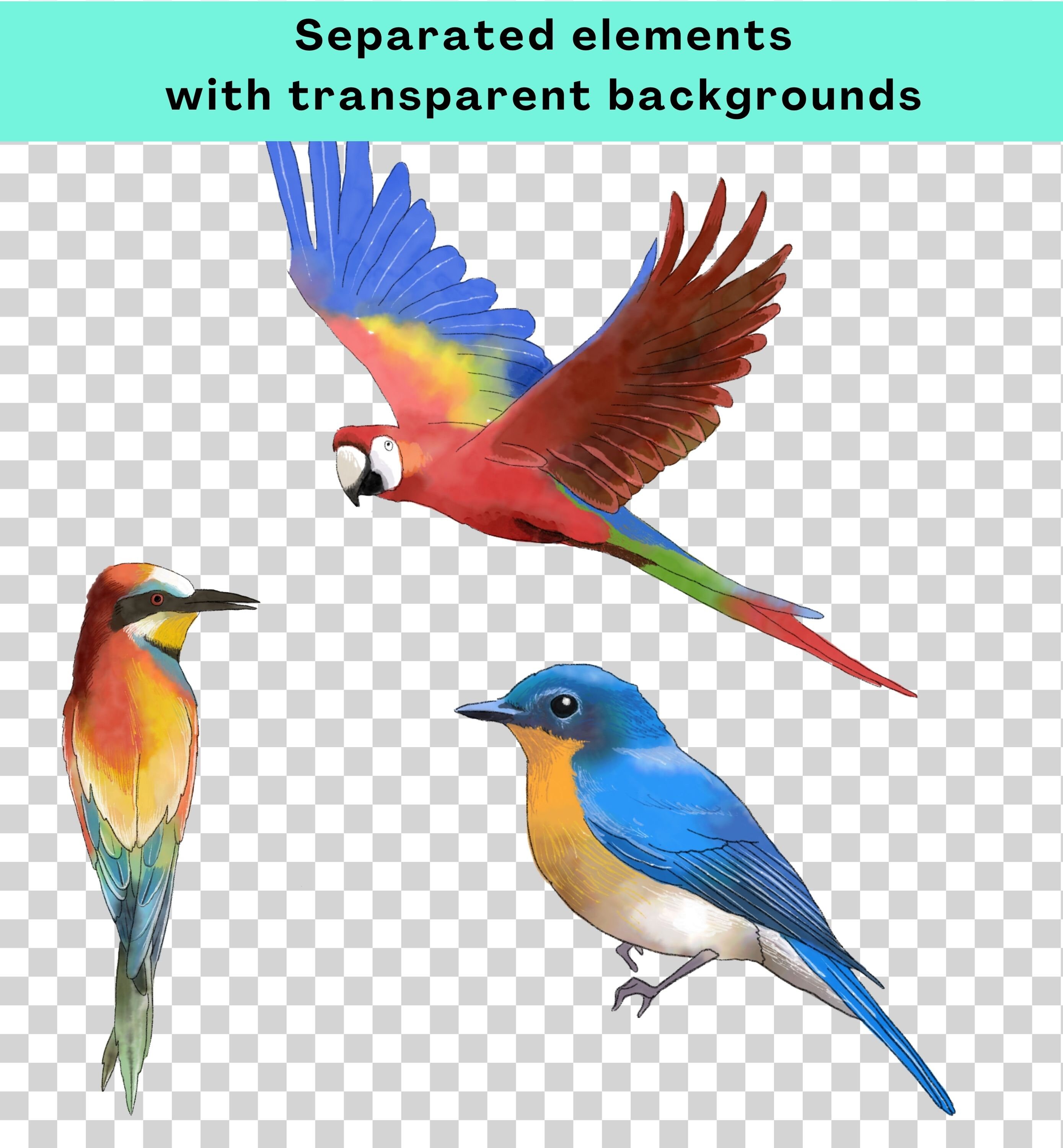 Tropical Birds Clipart, Watercolor Parrot Clipart,watercolor Birds ...