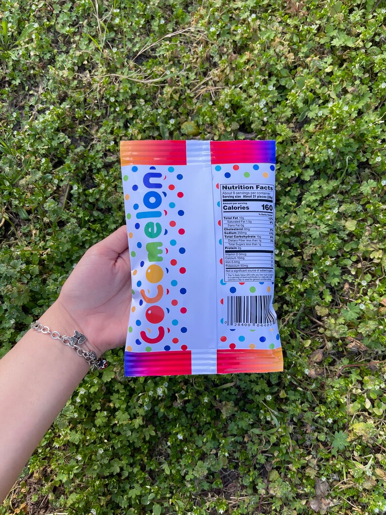 Watermelon Party Favors School Bus Chips Candy - Etsy