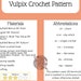 Fire and Ice Fox Duo PDF Crochet Pattern - Etsy UK