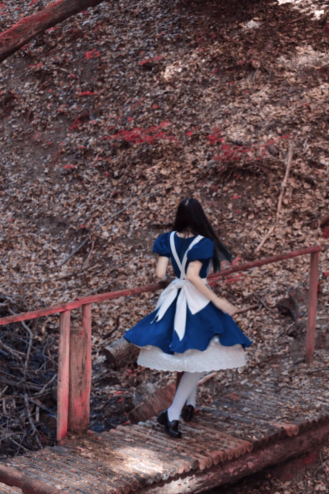 Made to Order Alice Dress - Etsy