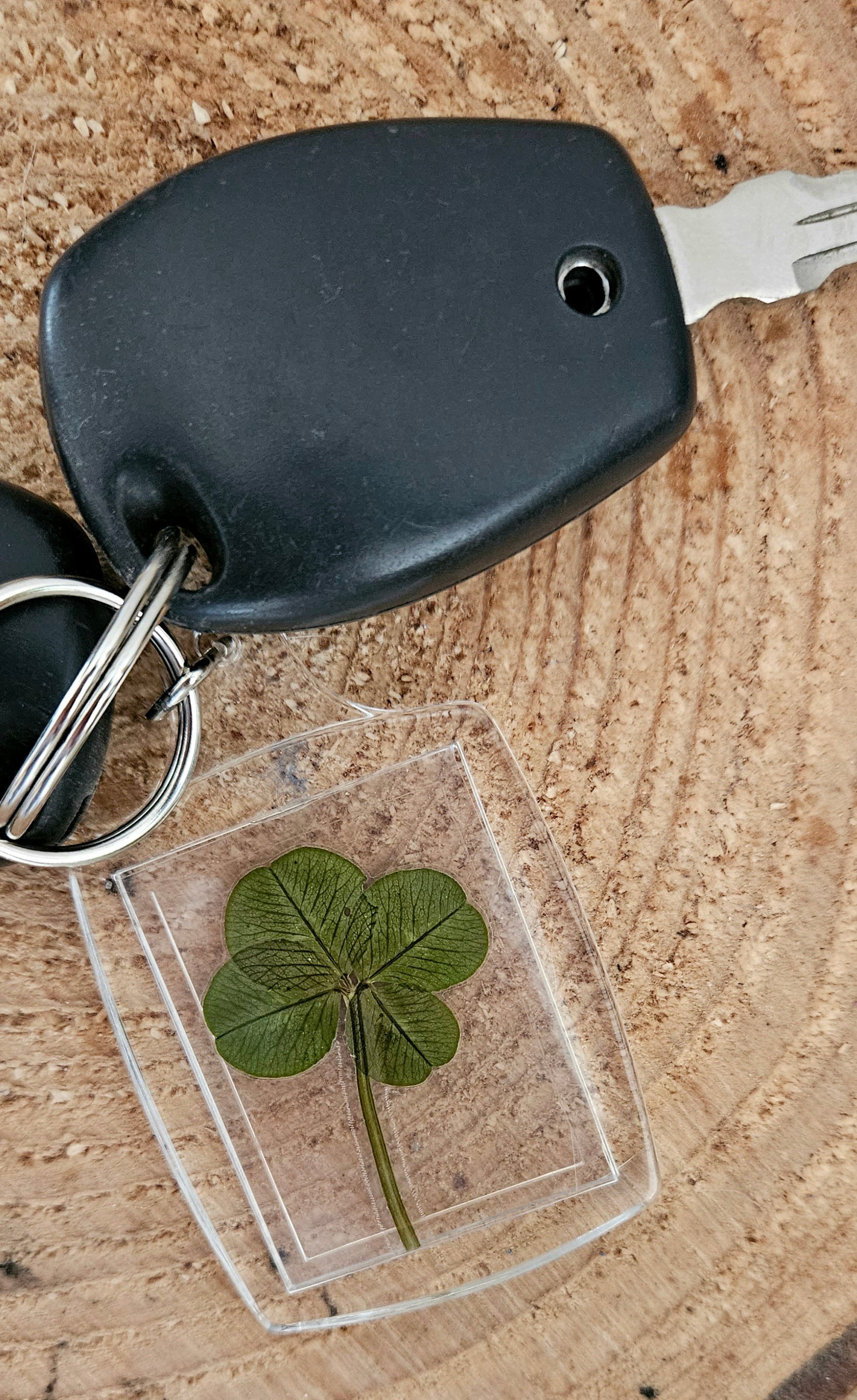 Real 4-leaf Clover Key Ring // Lucky Key Ring // Lucky Gift - Etsy