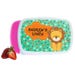 Personalised My Little Lion Lunch Box - Etsy