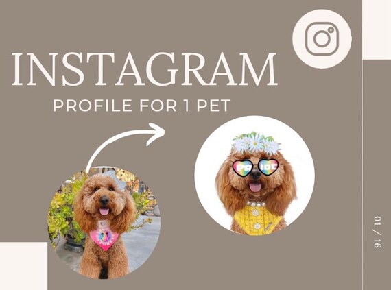 Instagram Profile Pictures for ONE - Etsy