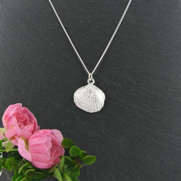 Sea Shell Necklace - Etsy