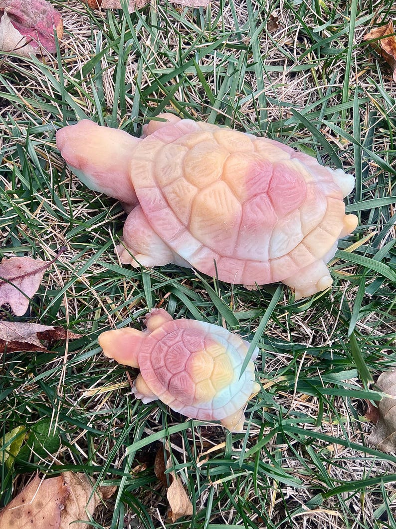 Mama and Baby Turtle Taba Squishy, Soft Emotional Support Toy - Etsy