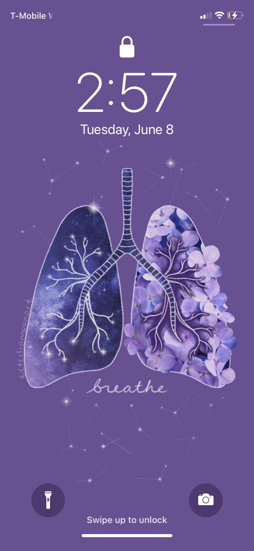 Phone Wallpaper Background breathe Magical Lungs - Etsy UK