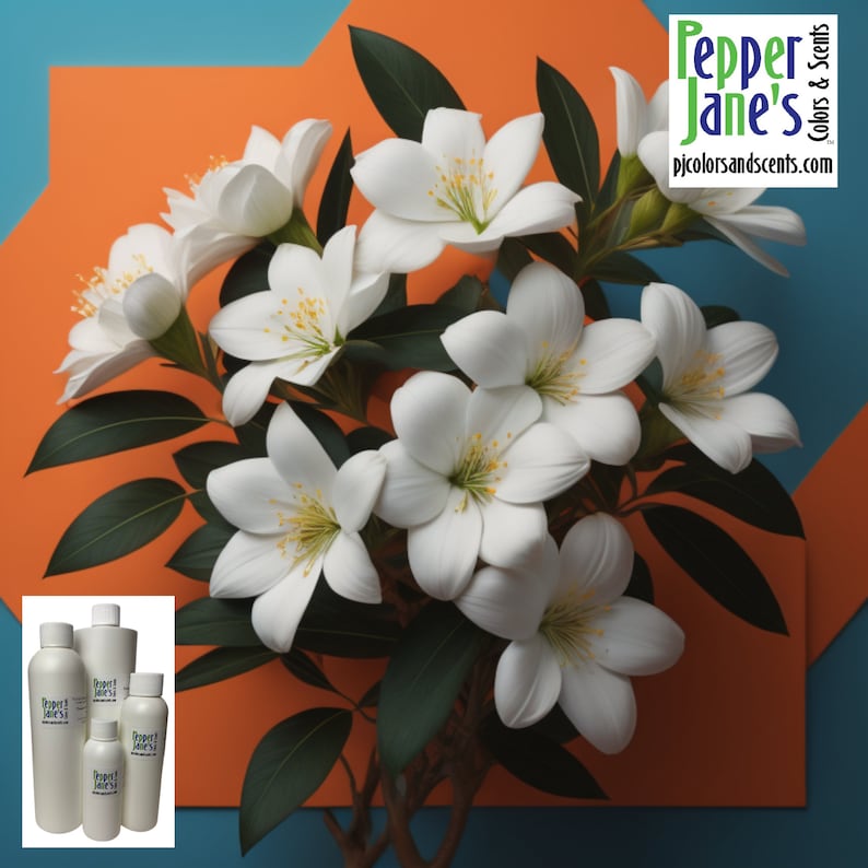 Jasmine Fragrance Oil: Floral Scent for Candles, Soap & Diffusers - Etsy