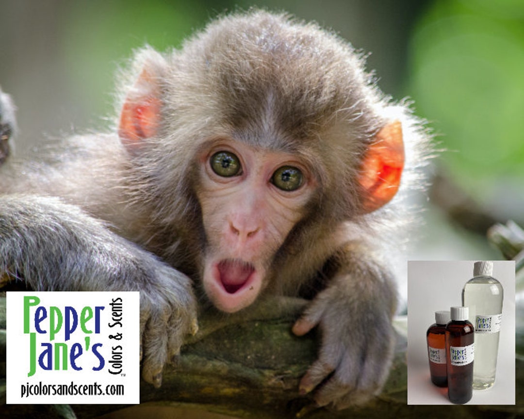 Monkey Farts Fragrance Oil for Candles Soap Incense Lotion - Etsy
