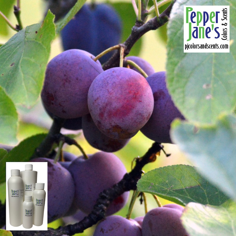Body Oil Plum - Etsy