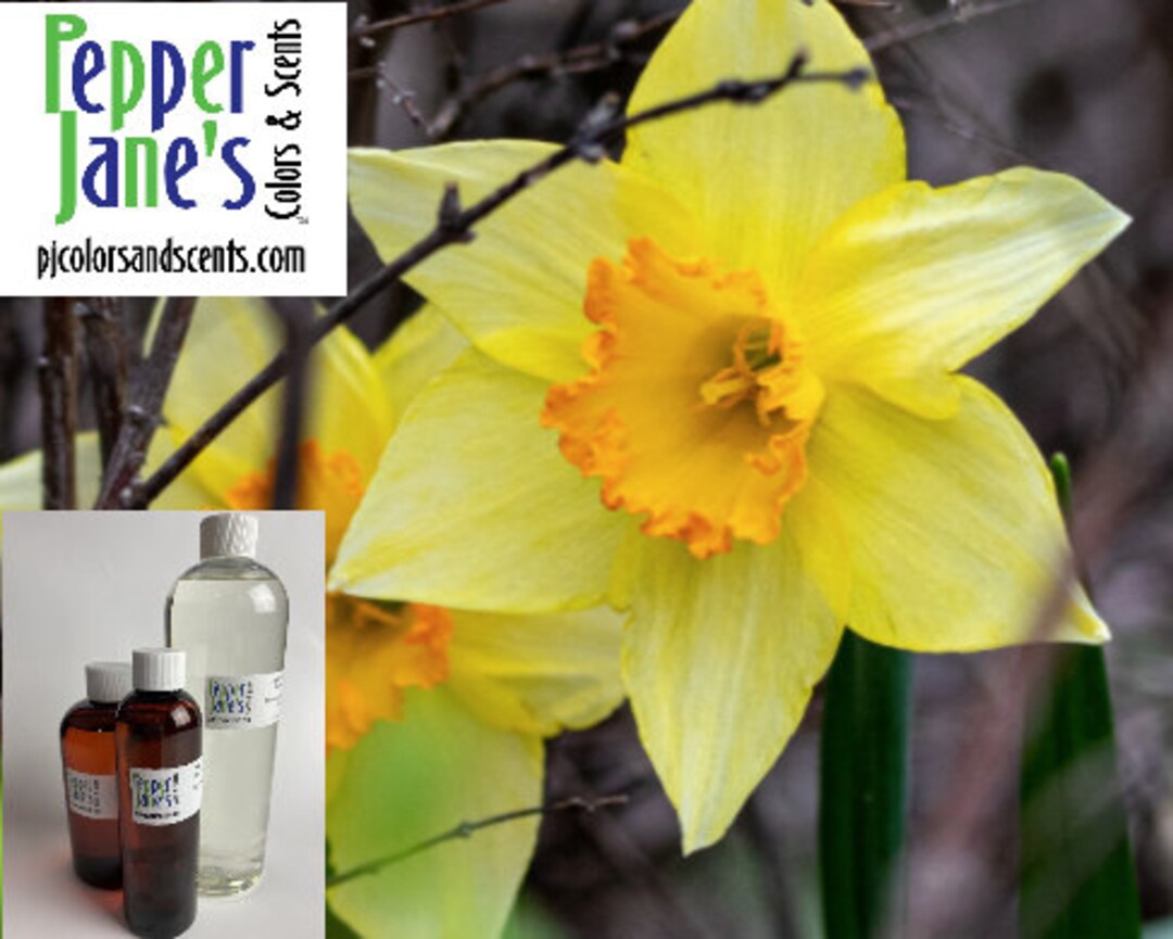 Daffodil Fragrance Oil for Candles Soap Incense Lotion - Etsy