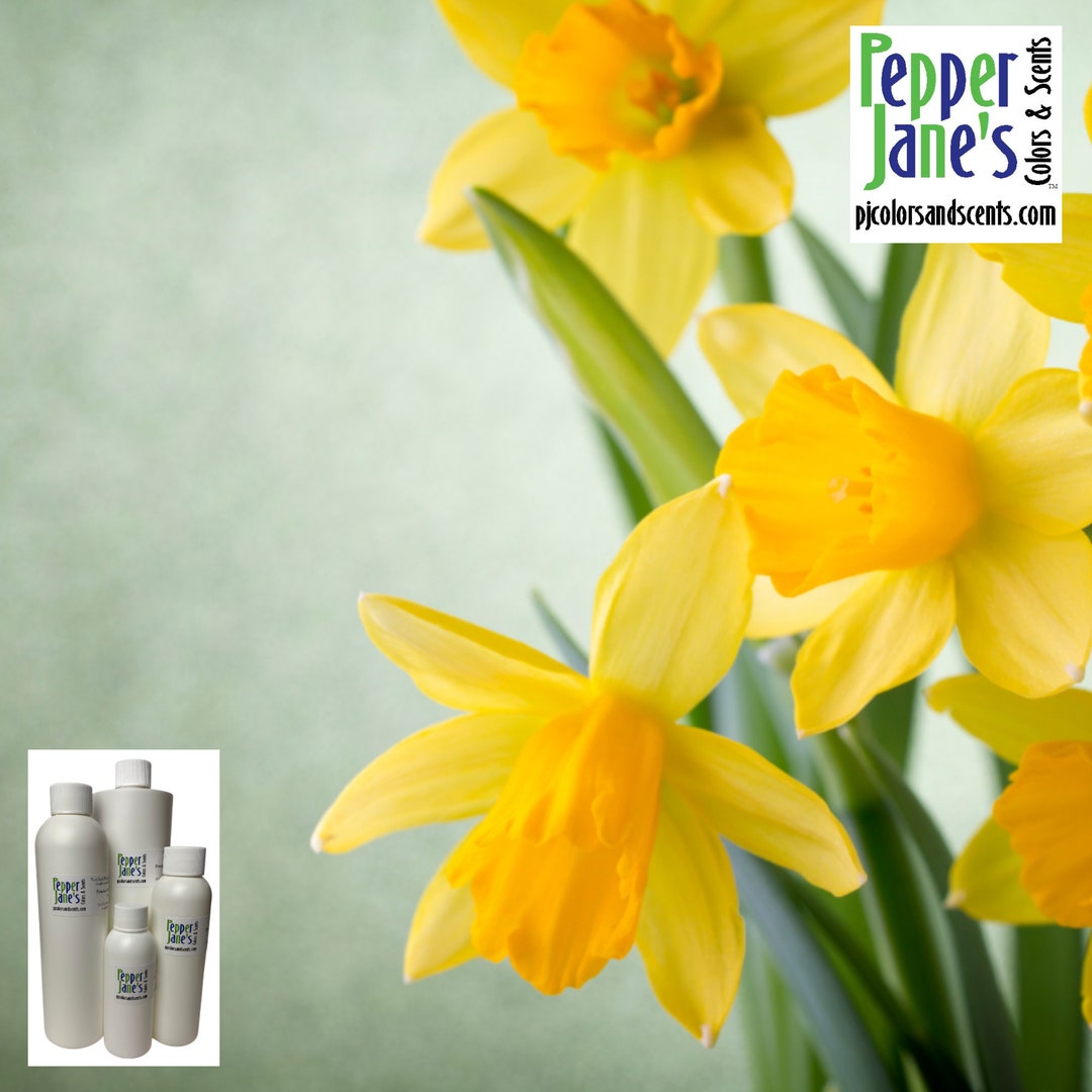 Daffodil Fragrance Oil for Candles, Soap, Incense, Lotion, Diffusers ...