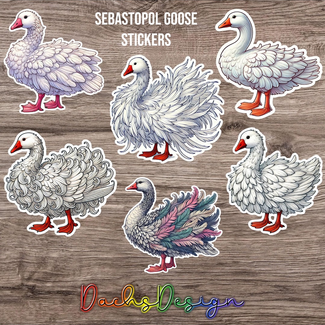 Sebastopol Goose Stickers, Vinyl Goose Stickers, Rainbow Goose Stickers ...
