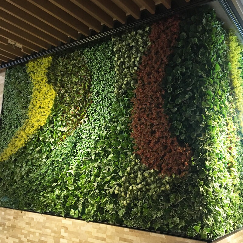 Learn How to Design Moss Wall Art Tutorial Video Moss Wall - Etsy UK