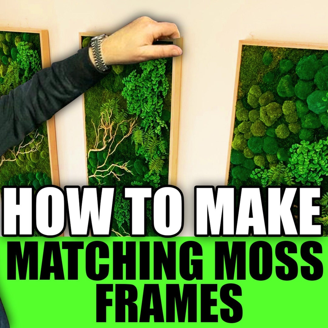 Moss Art Frame Video How to Make a Moss Frame Explained Download the ...