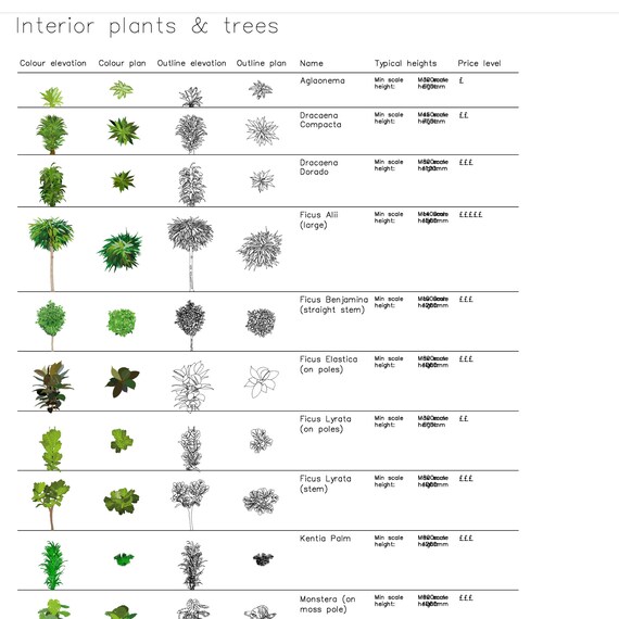 Indoor Plant Cad Symbols Dwg Files of Interior Plants With - Etsy UK