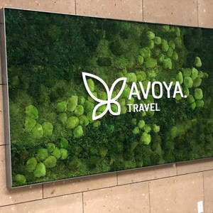 Moss Art Frame Video How to Make a Moss Frame Explained Download the ...