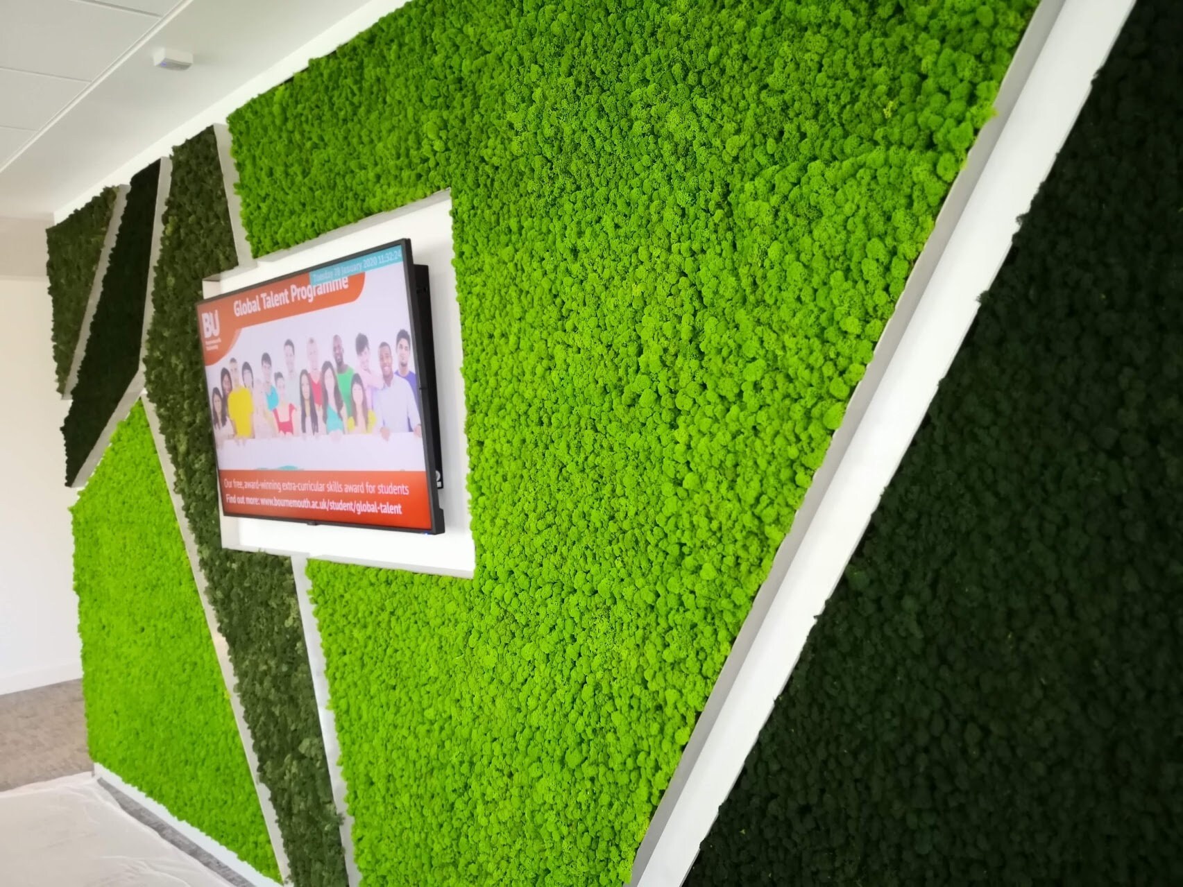 Moss Art Frame Video How to Make a Moss Frame Explained - Etsy UK