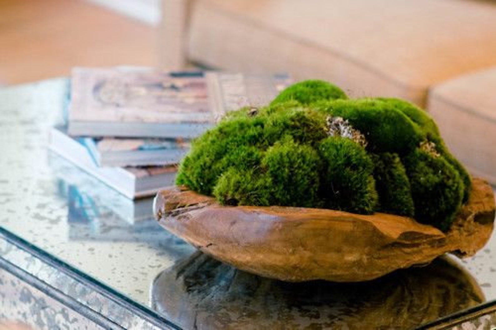 Learn How to Make a Moss Table Display Tutorial Video Moss - Etsy UK
