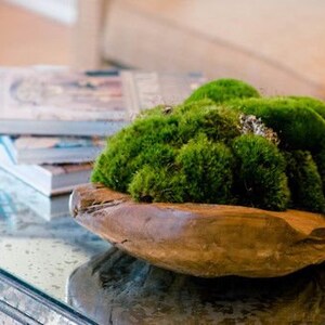 Learn How to Make a Moss Table Display Tutorial Video Moss Art Using ...