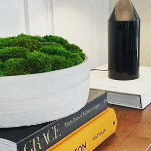 Learn How to Make a Moss Table Display Tutorial Video Moss Art Using ...