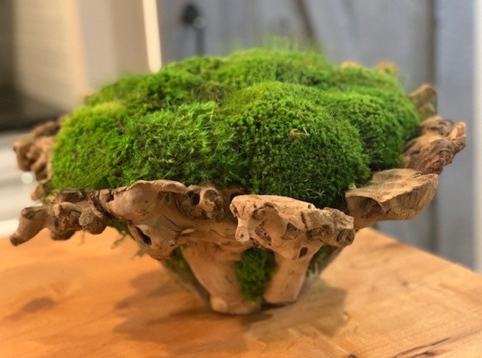 Learn How to Make a Moss Table Display Tutorial Video Moss - Etsy UK