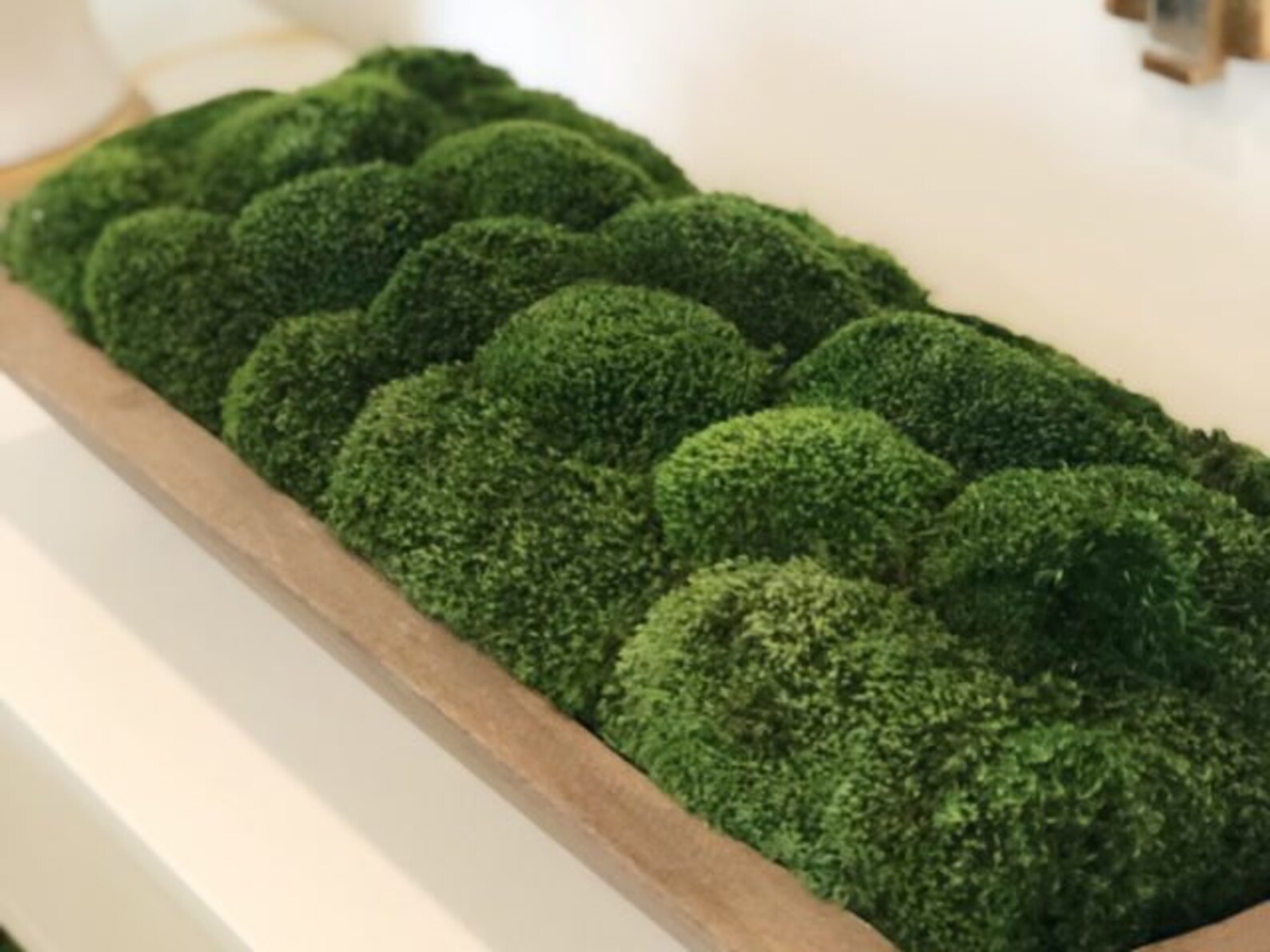 Learn How to Make a Moss Table Display Tutorial Video Moss - Etsy UK