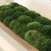 Learn How to Make a Moss Table Display Tutorial Video Moss Art Using ...