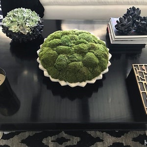 Learn How to Make a Moss Table Display Tutorial Video Moss Art Using ...